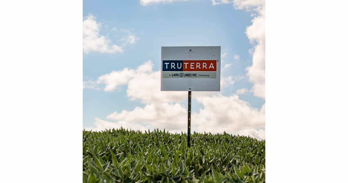 Conservation | MFA-inc.