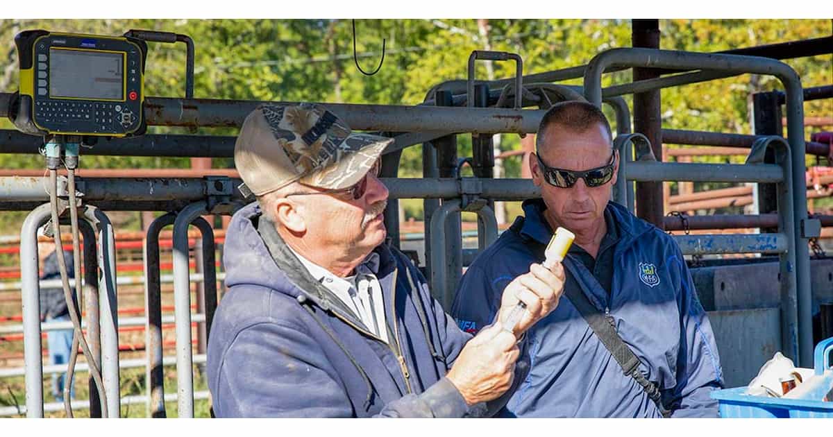 Dec 2023 / Jan 2024 | MFA-inc.